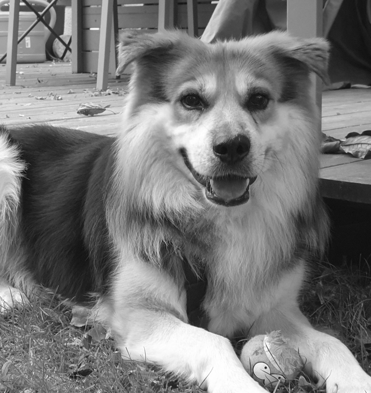 Team – EILERS OCKEL ARCHITEKTEN